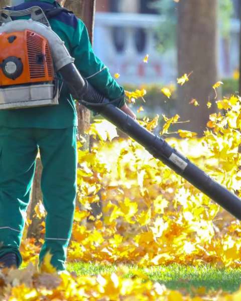 Commercial Landscaping Services in North Reading | Yard Works